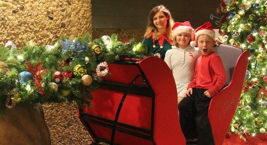 Make Christmas merrier with fabulous lightings, decors & activities!